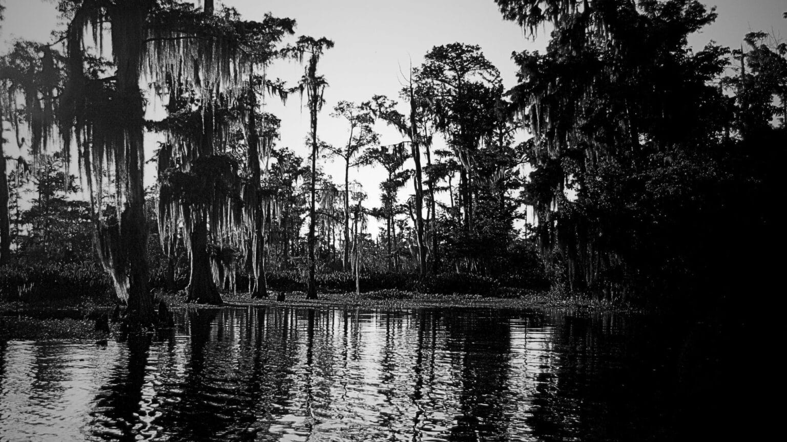 Mythical Creatures & Beasts of Louisiana - Airboat Adventures